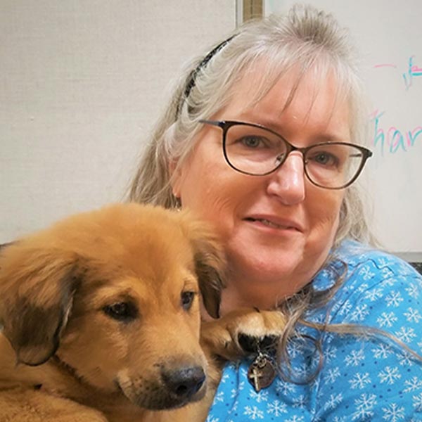 Cat & Dog Training in Peoria, IL